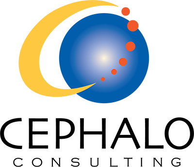 Tsunami Leadership™ | Swimming Effectively in Organizational Turbulence